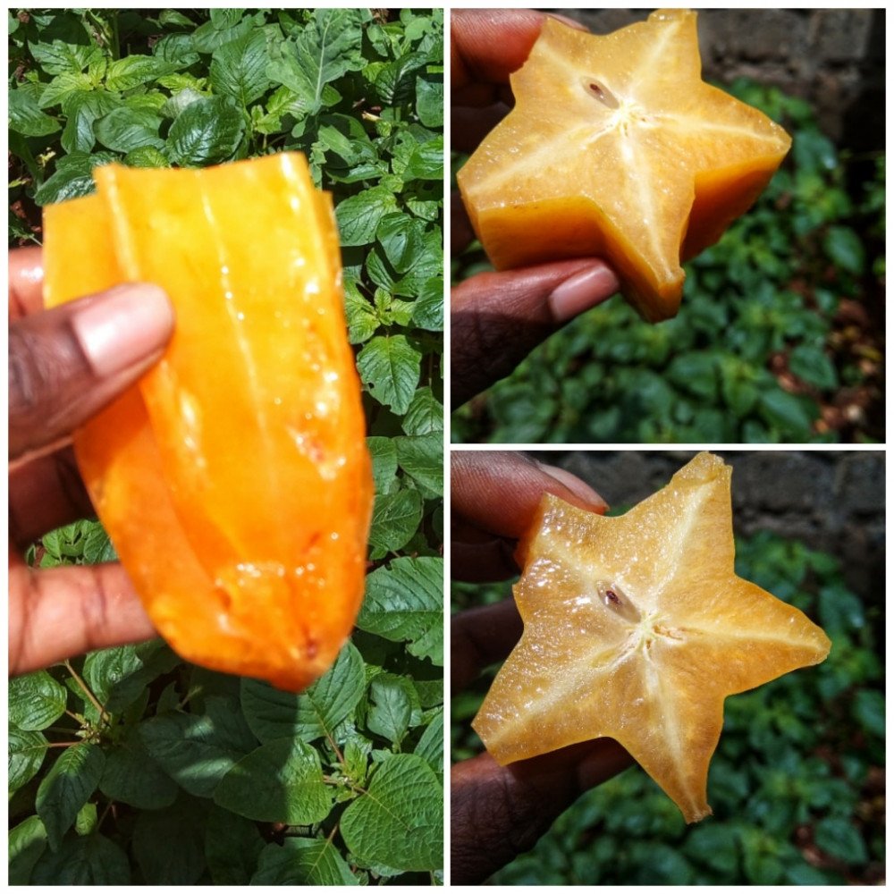 Star Fruit/ Mbirimbi | Jikoni Palatables